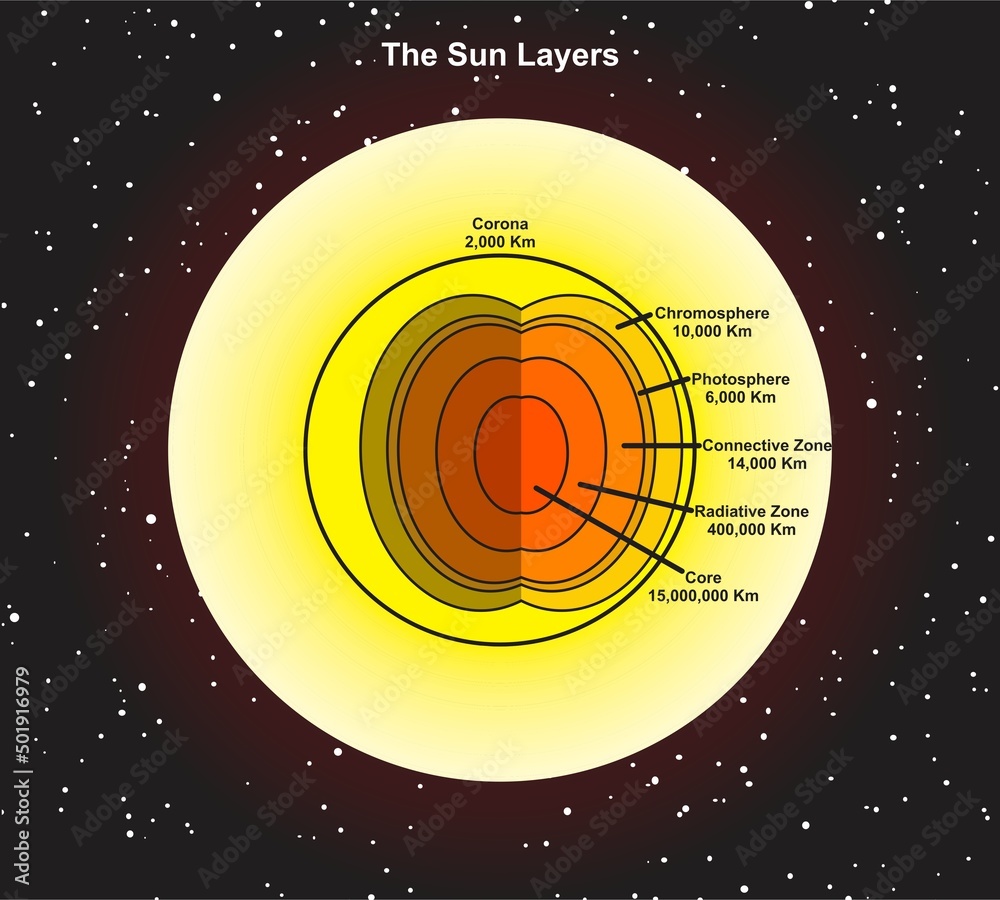 Vetor de Sun layers infographic diagram including corona chromosphere ...