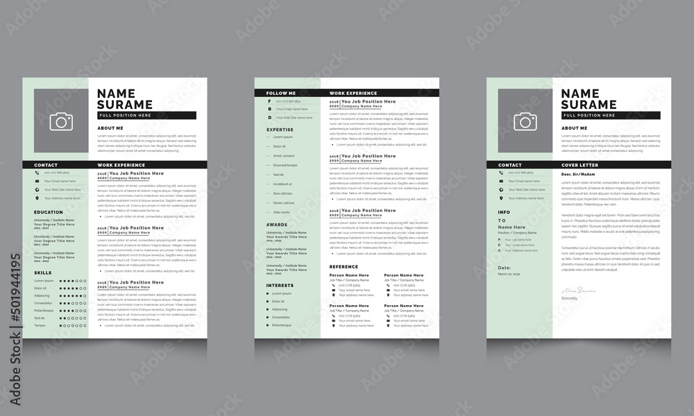 Professional Resume CV Layout with Clean and Professional Resume ...