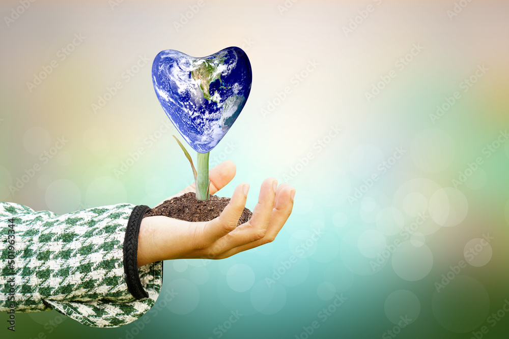 Human hand holding tree and world on blurred nature background.World ...