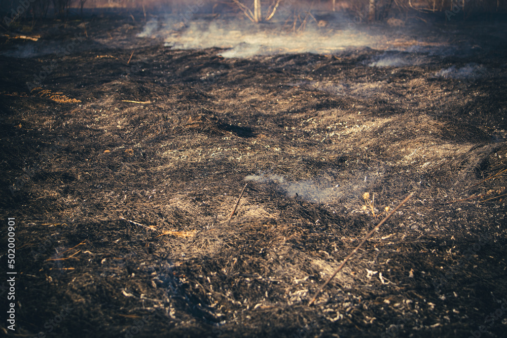 a fire in a dry field in early spring and the smoke left on the burnt ...