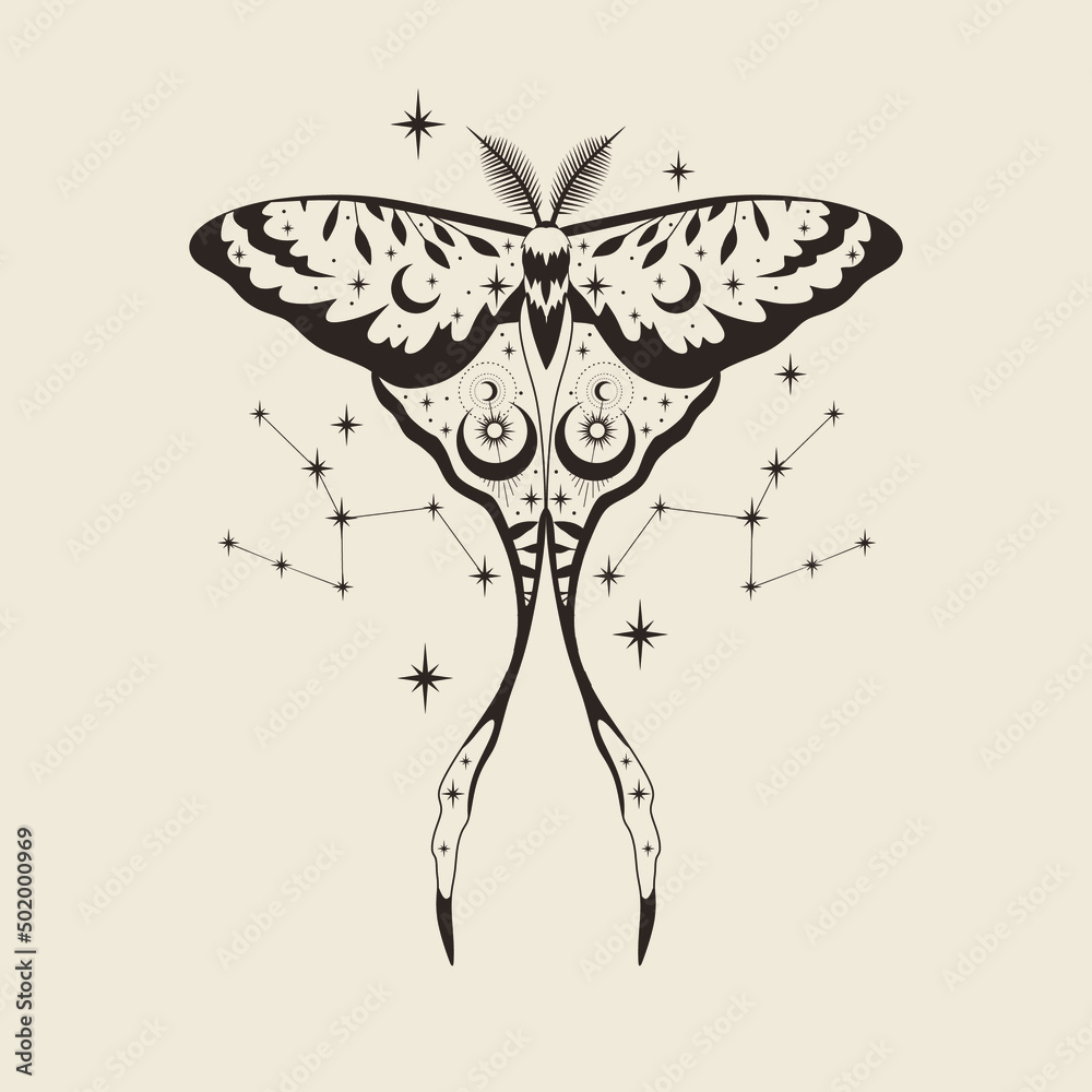 Vector illustration of moon moth. For print for T-shirts and bags ...