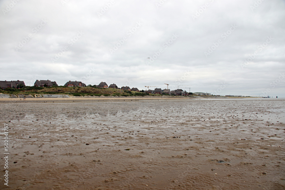 Seegras Zostera grün Wasserpflanze Wattenmeer Nordsee Sylt ...