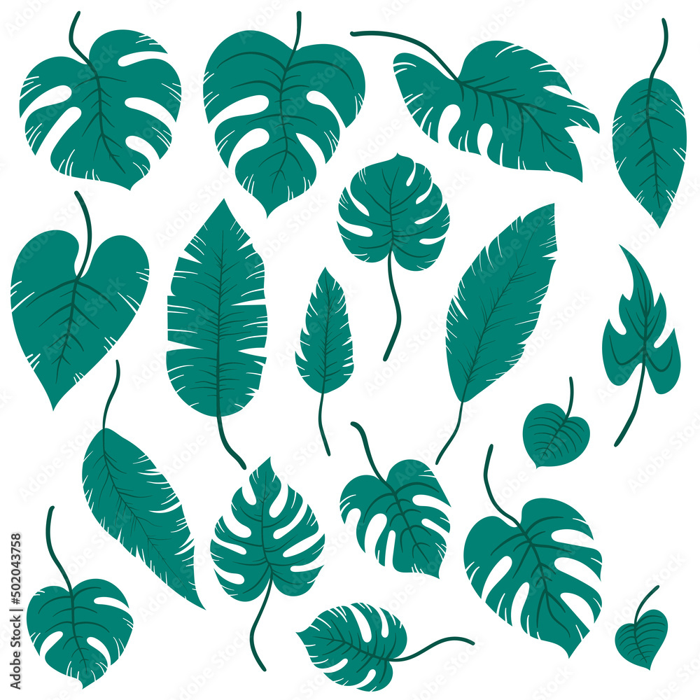 Set of green hand drawn tropical exotic leaves of different types ...