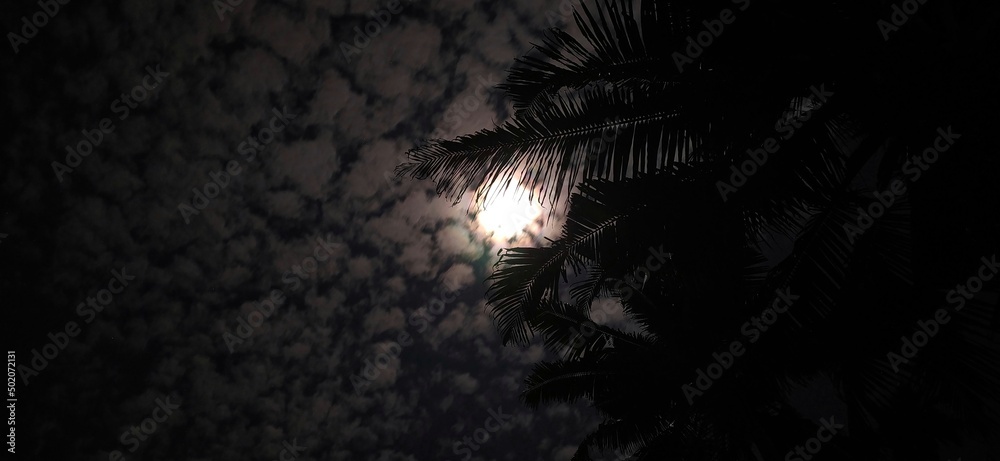 Shining bright Moon with moonlight rays covered by Altocumulus, cumulus ...
