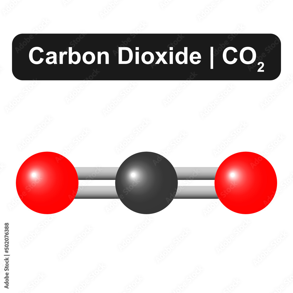 Molecular Model Of Carbon Dioxide (CO2) Molecule. Vector Illustration ...