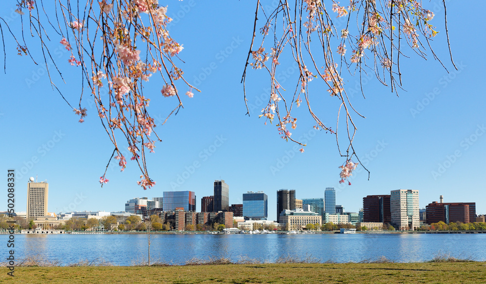 Boston Charles River Esplanade on a sunny spring day with cherry ...