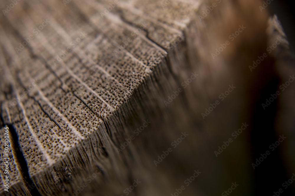 Abstract Wood Textures surface background closeup Stock Photo | Adobe Stock