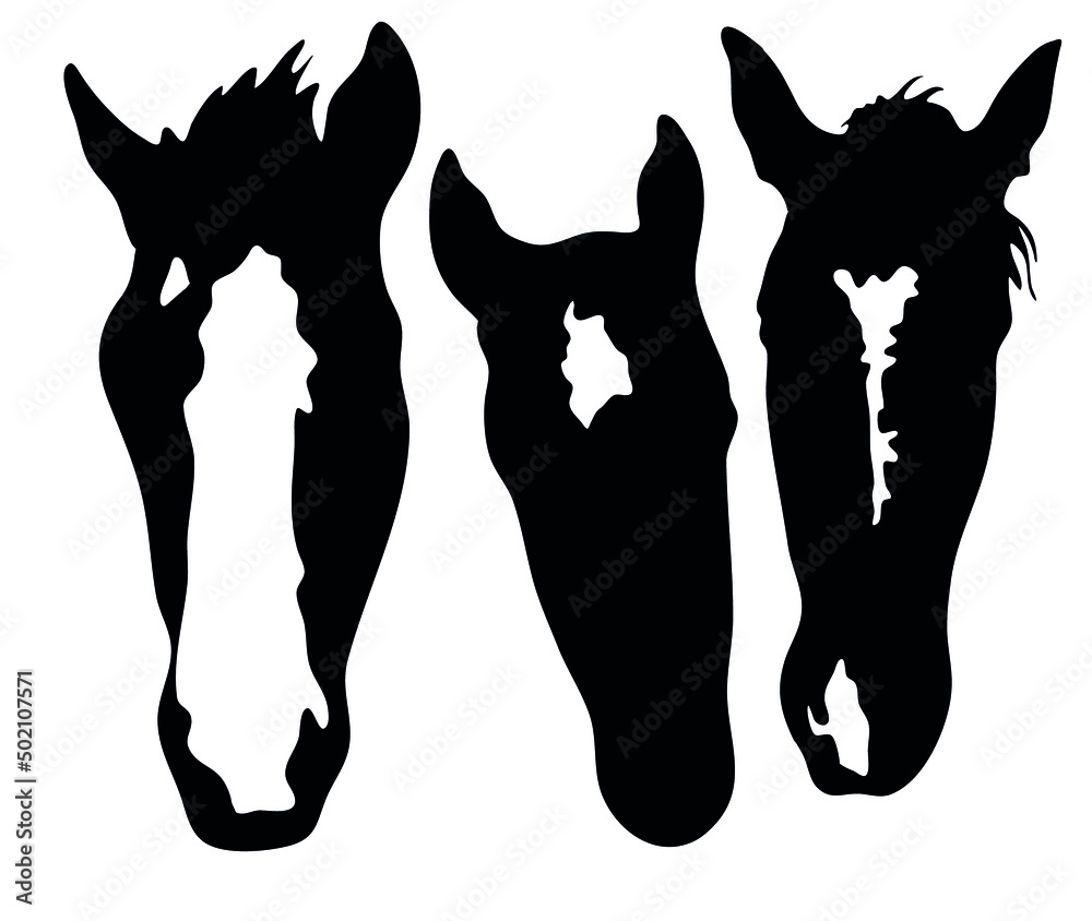 Vector illustration set ready to print: Horse Facial Markings, black ...