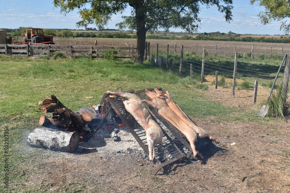 lechón y cordero asado a la estaca en el campo Stock Photo | Adobe Stock