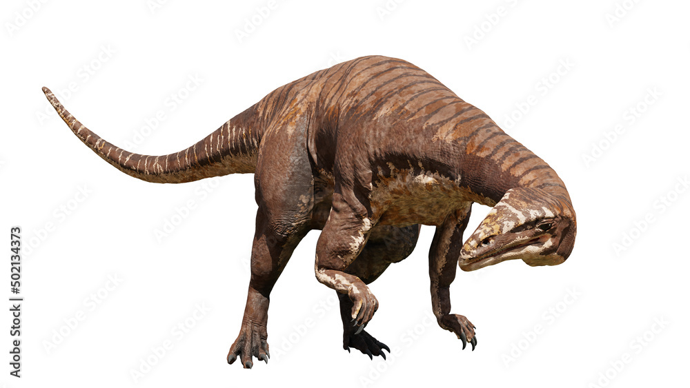 Plateosaurus, dinosaur from 214 to 204 million years ago, isolated on ...