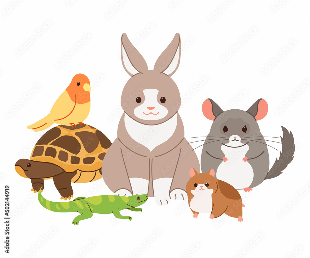 Cute little pets vector illustration. Rabbit, turtle, lizard ...
