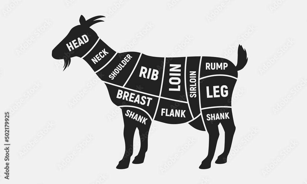 Butcher diagram, scheme set. Cuts of Goat. Goat silhouette isolated on ...