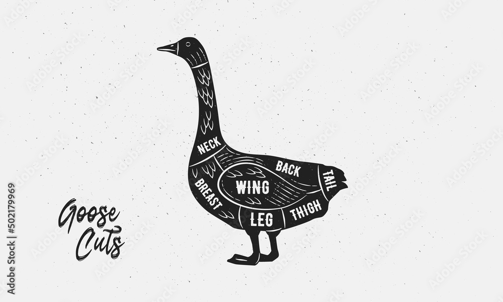 Cuts of Goose. Butcher Diagram, scheme, chart. Goose sketch silhouette ...