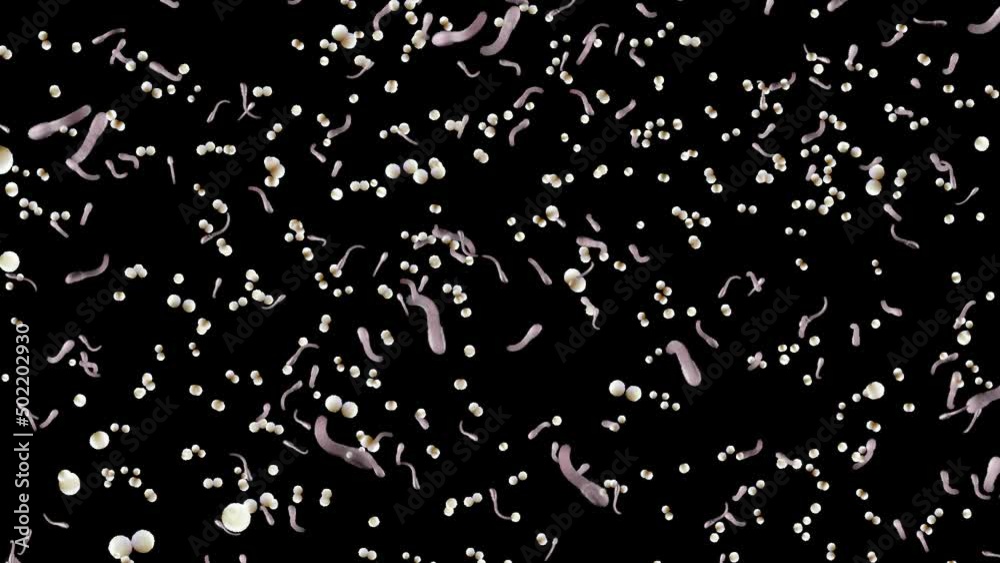 elementary life forms . observation of an unknown life form background ...