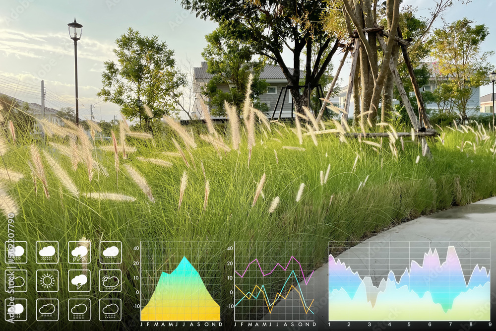 Weather forecast symbol data presentation with graph and chart for ...