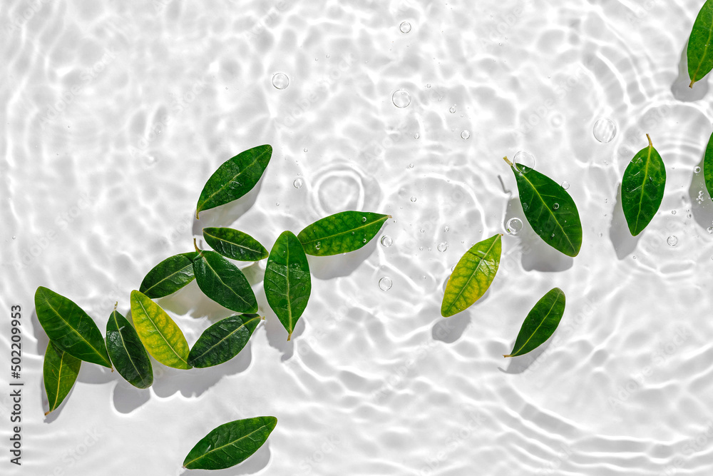 Green leaves on water surface. Beautiful water ripple background for ...