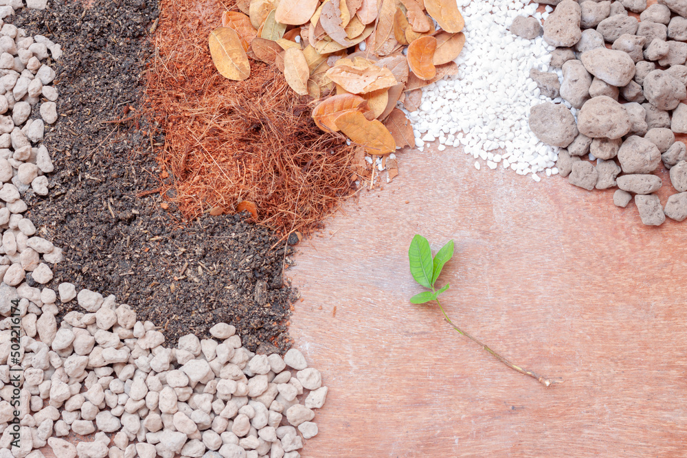 Pumice pebbles ,Volcanic rock, Dry leaves ,White perlite,Coconut coir ...