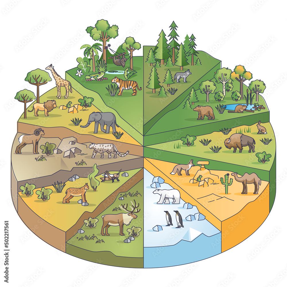Types of habitats and various ecosystems collection in pie outline ...