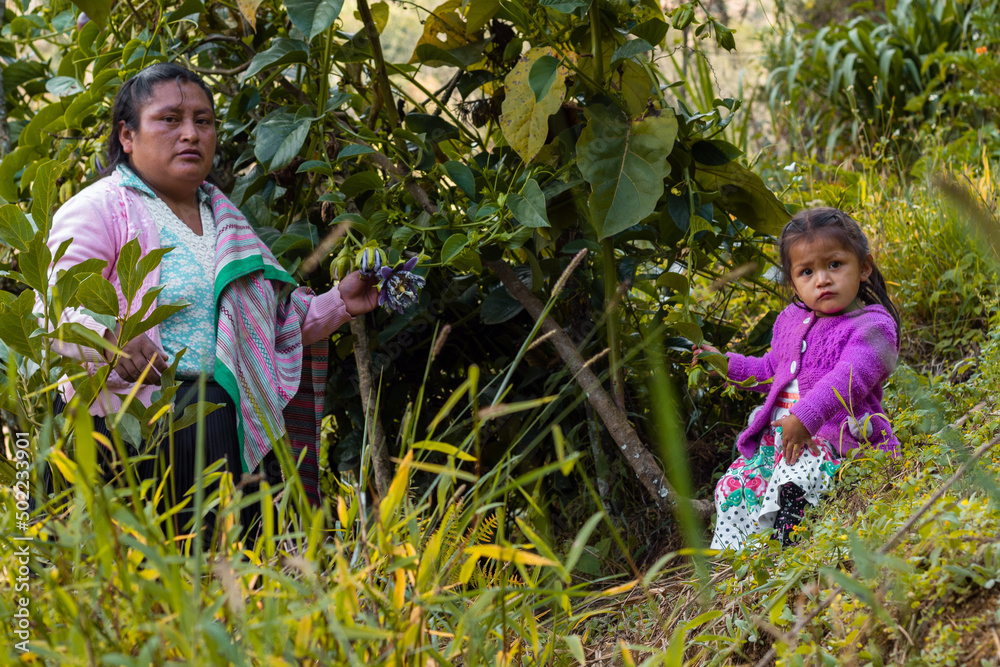 CAMPESINA FAMILIA EN EL CAMPO ,niña campesina,rumbo a trabajar ...