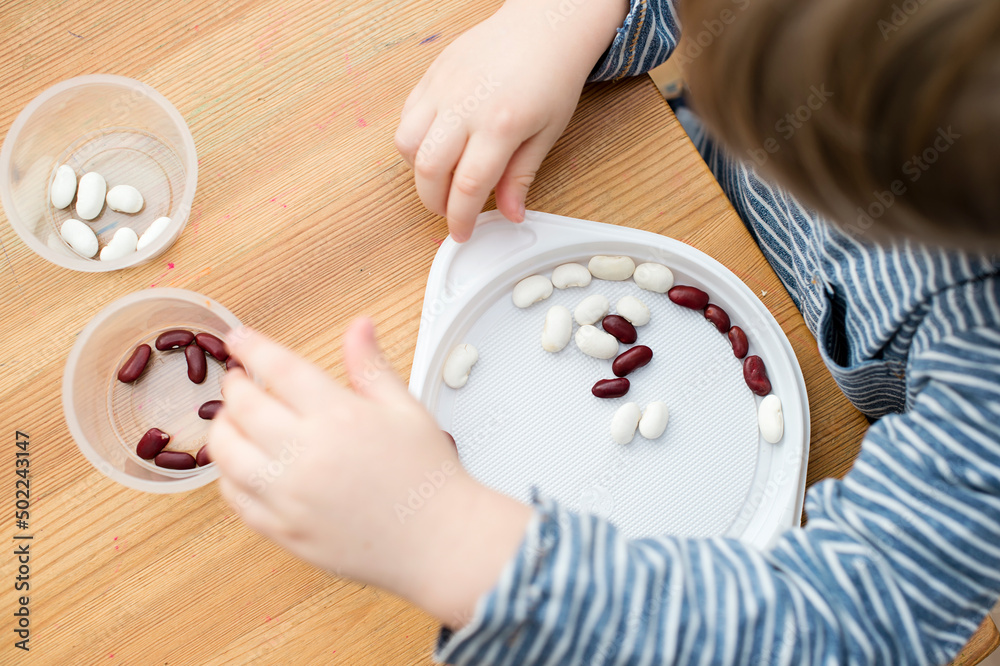 Boy sorting kidney beans from white beans. Montessori concept ...