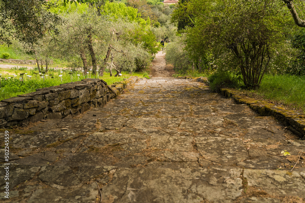 path of old stone steps with depth in a botanical garden in Florence ...