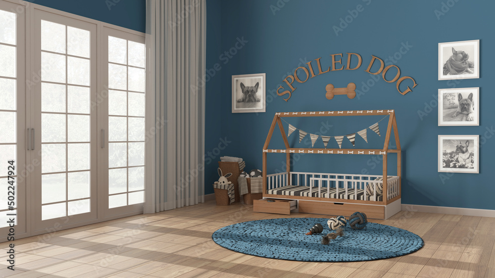 Dog room interior design, modern space devoted to pets in blue and ...