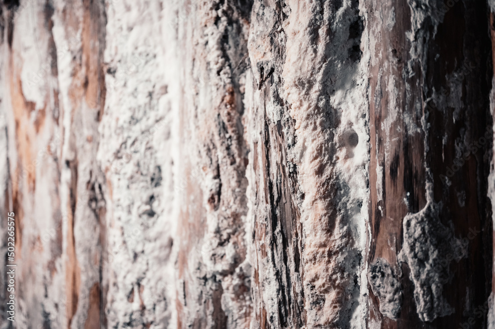 t. Kinga's Chapel in the Wieliczka Salt Mine near Krakow. Opened in the ...