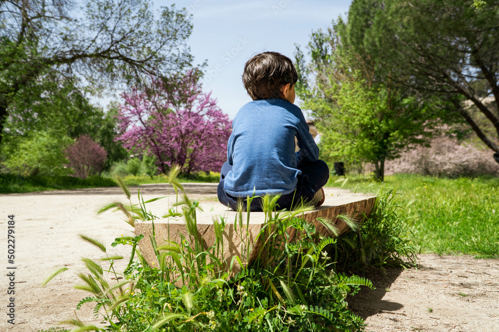 kid alone sitted by a pad in the woods. lost kid concept. Youg kids can ...