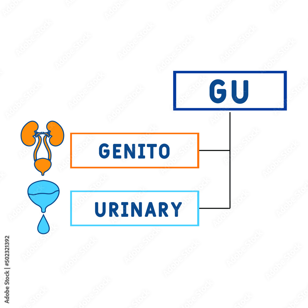 GU - Genitourinary acronym. medical concept background. vector ...