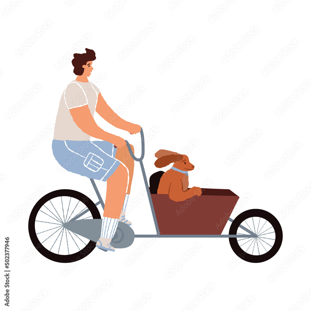 Man rides a cargo cycle or bakfiets bike, his dog sitting in the cart ...