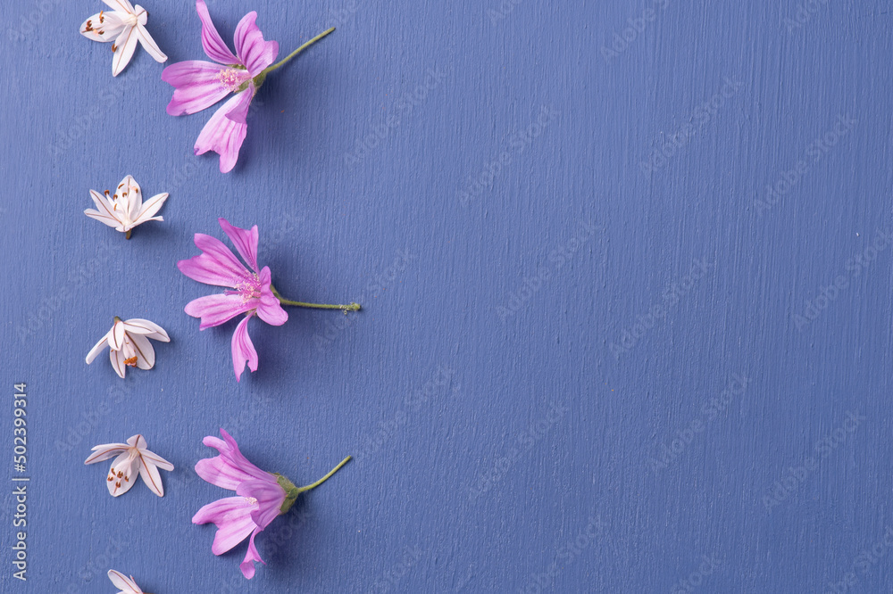 Flores sobre fondo azul muy primaveral con espacio para recurso gráfico ...
