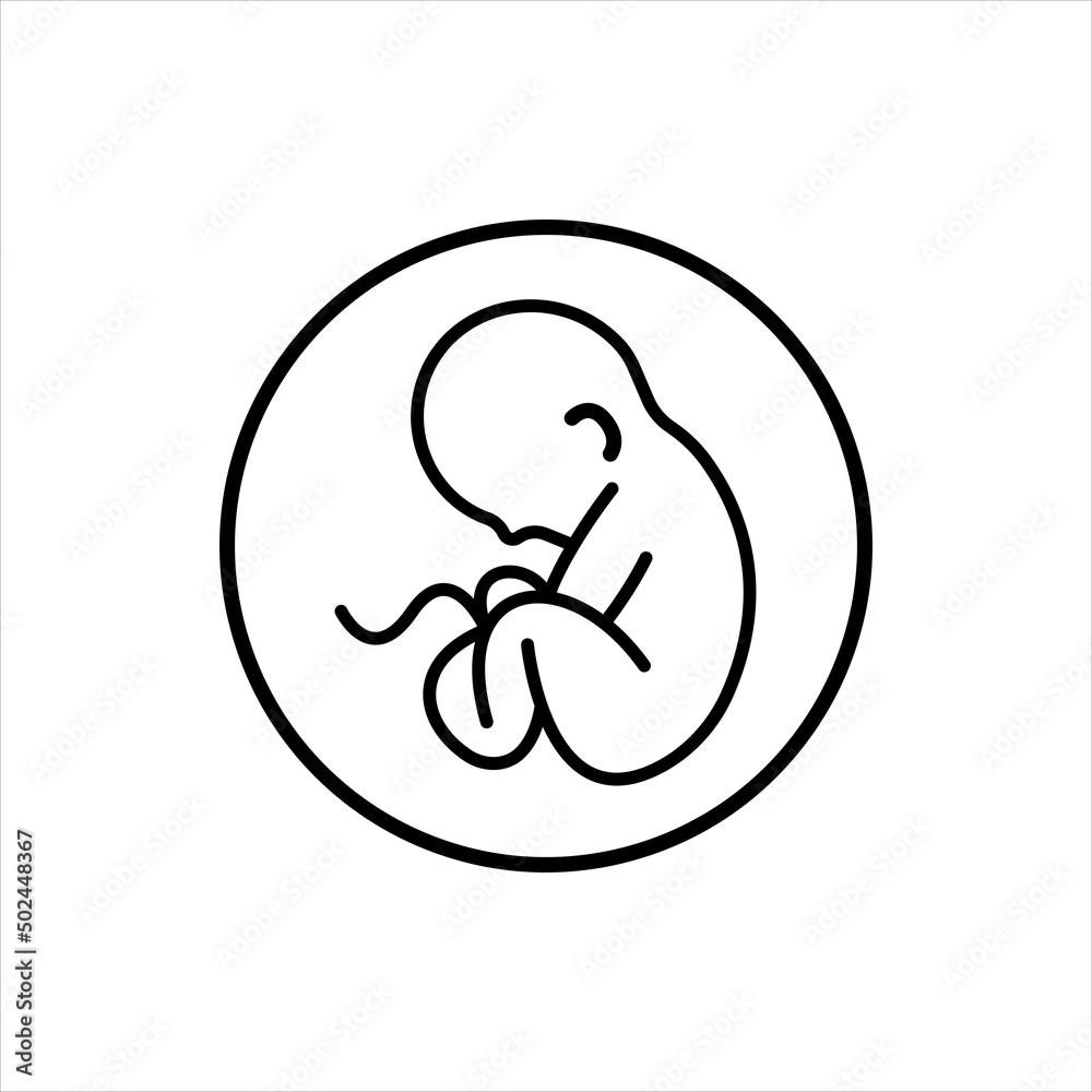 Development of the human embryo in the womb icon. Trendy flat isolated ...
