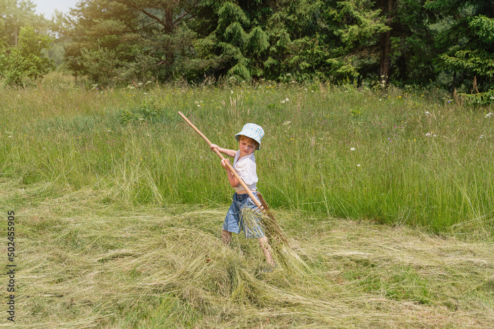The kid rakes with a big rake and the mown grass Stock Photo | Adobe Stock