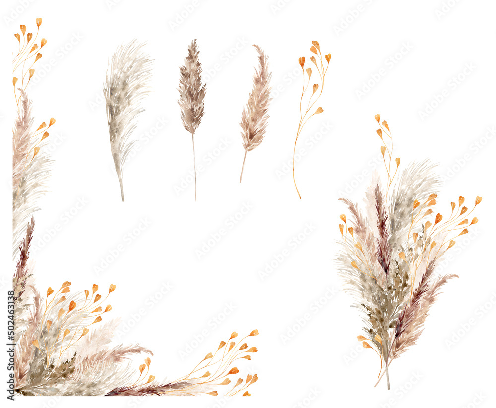 Pampas grass border painted in watercolor. Boho floral neutral colors ...