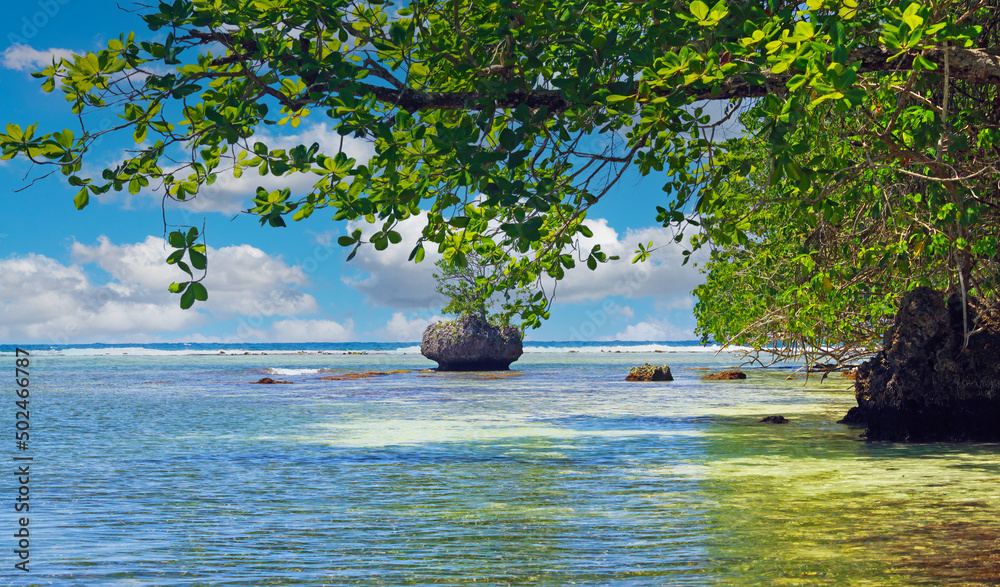 Beautiful caribbean tropical landscape with secluded reef lagoon, green ...