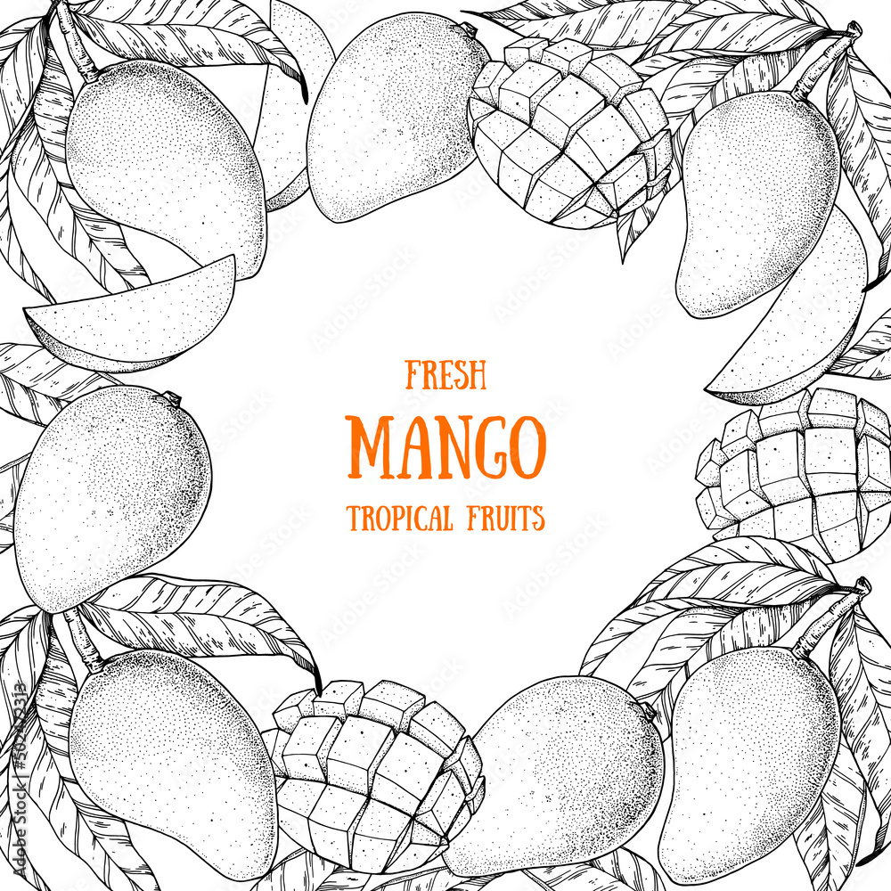Mango fruit hand drawn package design. Vector illustration. Sketch for ...