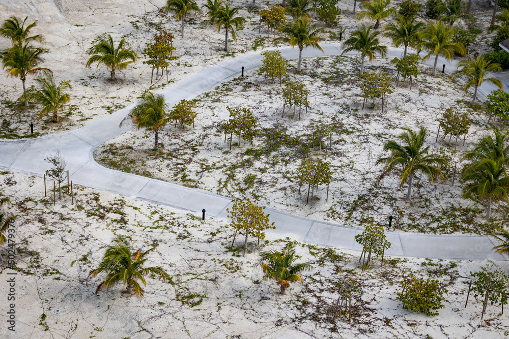Paths leading to different directions around dunes planted with palm ...