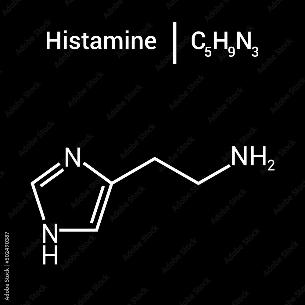 chemical structure of Histamine (C5H9N3) Stock Vector | Adobe Stock