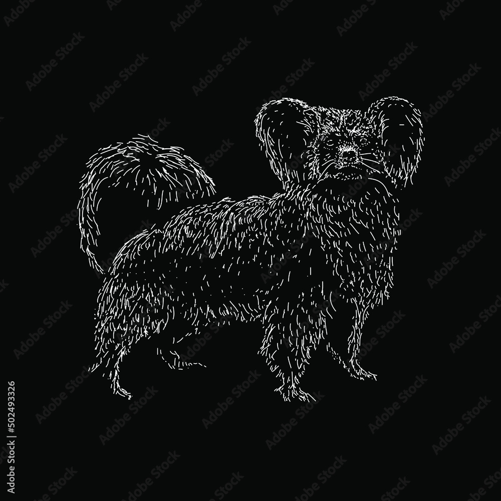 Papillon dog hand drawing vector illustration isolated on black ...