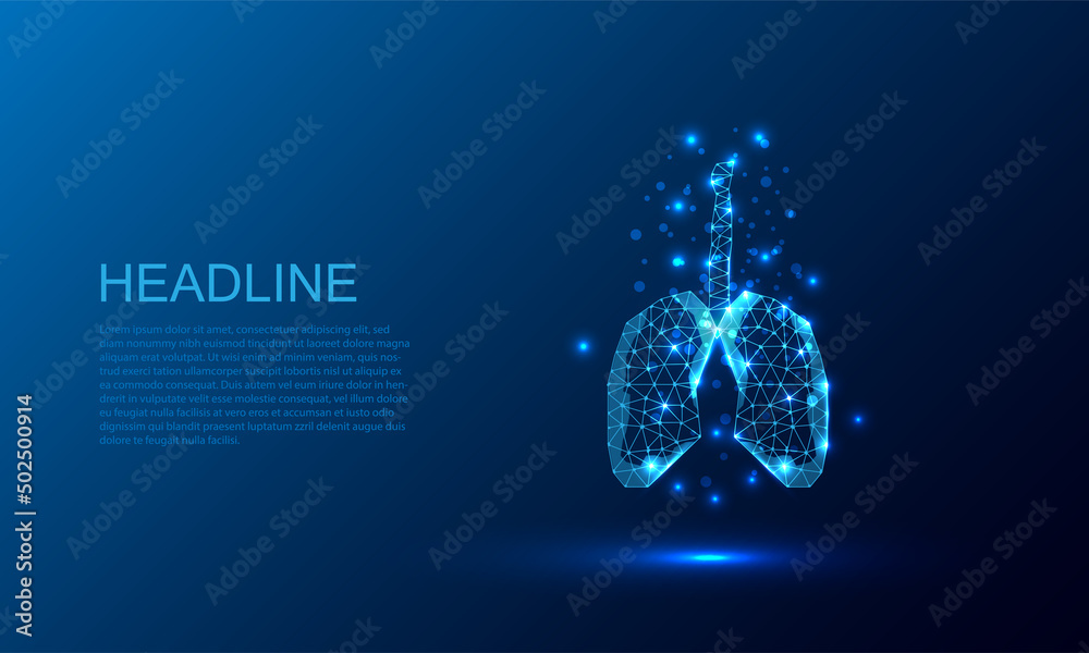 human lungs .Low poly style design. Abstract geometric background ...