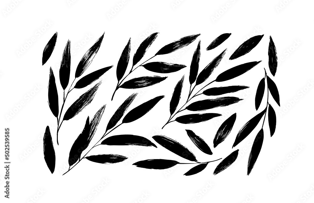 Brush branches with long leaves vector collection. Hand drawn ...