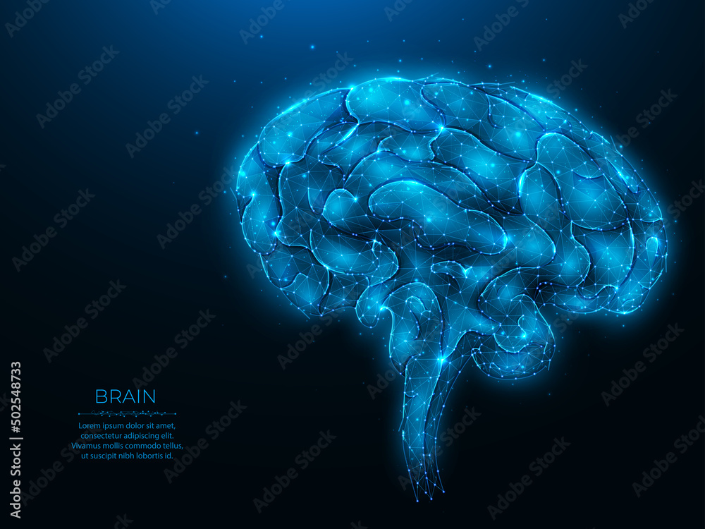 Polygonal human brain vector illustration on dark blue background. The ...