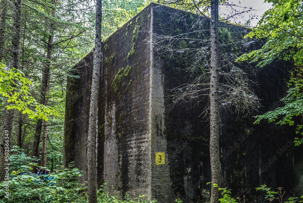 Military bunker in Mamerki, former Nazi bunker complex, Poland Stock ...