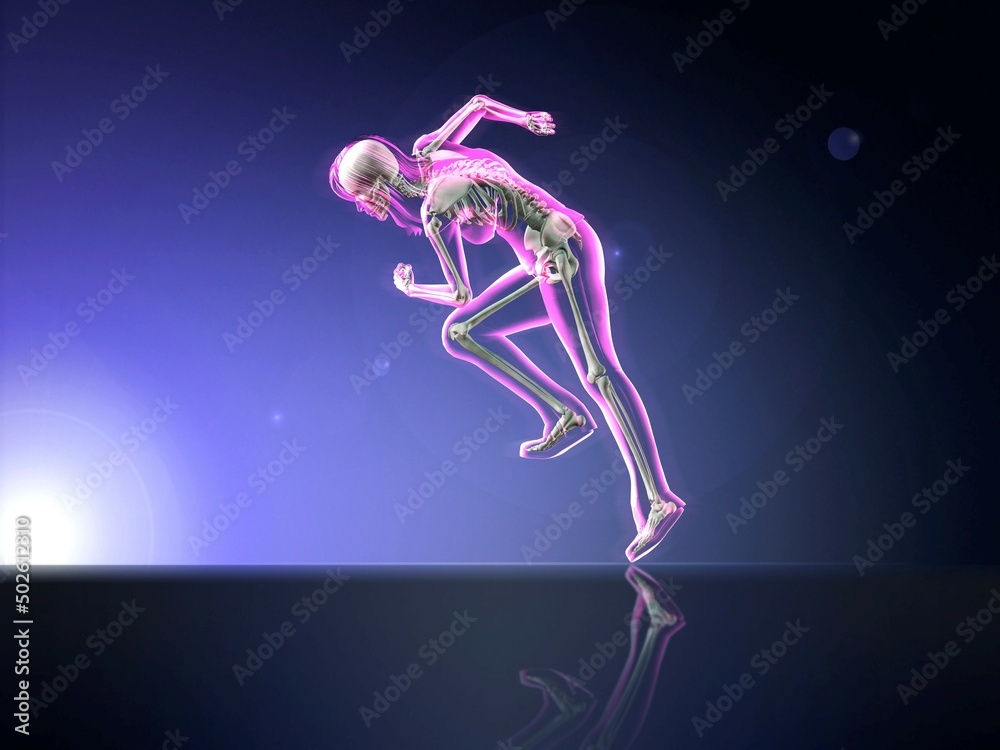 Pink X-ray of woman's skeleton running on dark blue reflective ...