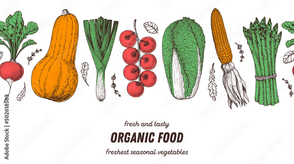 Vegetables hand drawn illustration. Top view frame. Vintage hand drawn ...