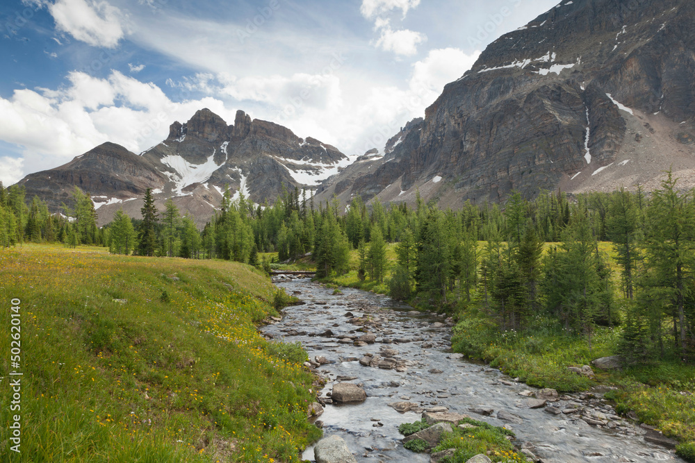 Foto de Canada, Mount Assiniboine Provincial Park, Gog Lake meadows ...