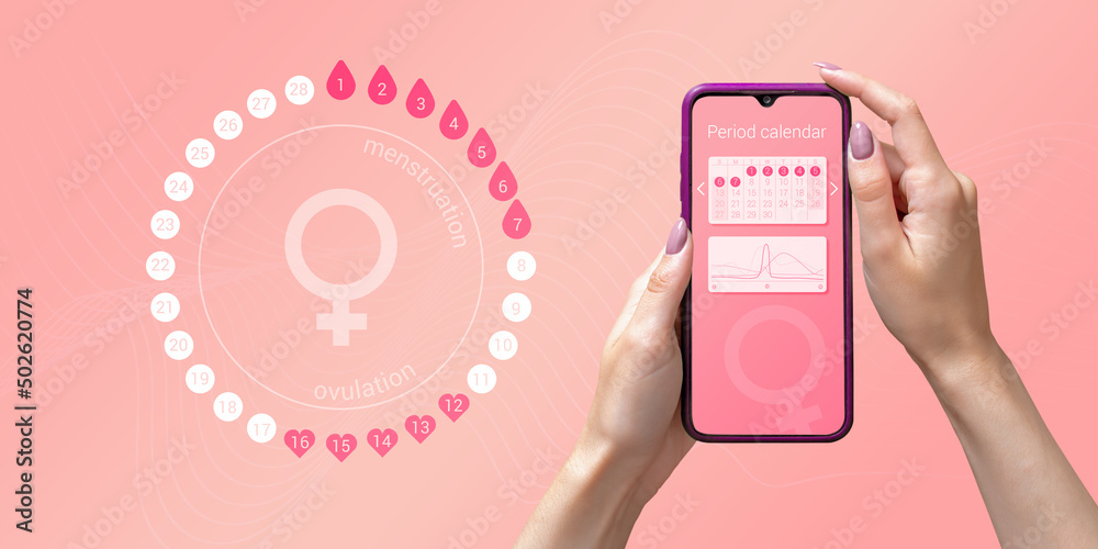 Naklejka Menstrual cycle tracker mobile app on the smartphone screen in ...
