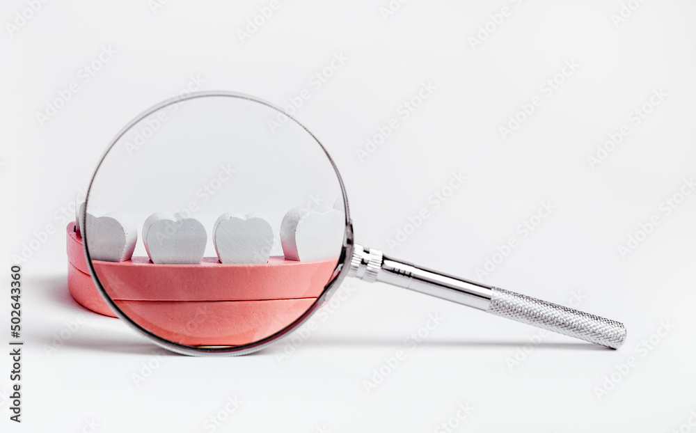 Jaw model with magnifying glass. Kids teeth checkup concept. Dental ...