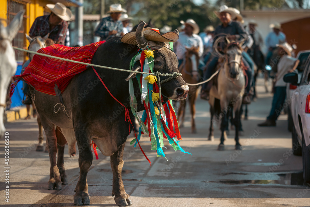 Tradicional paseo del pendón en Guerrero y recorrido del Toro por el ...