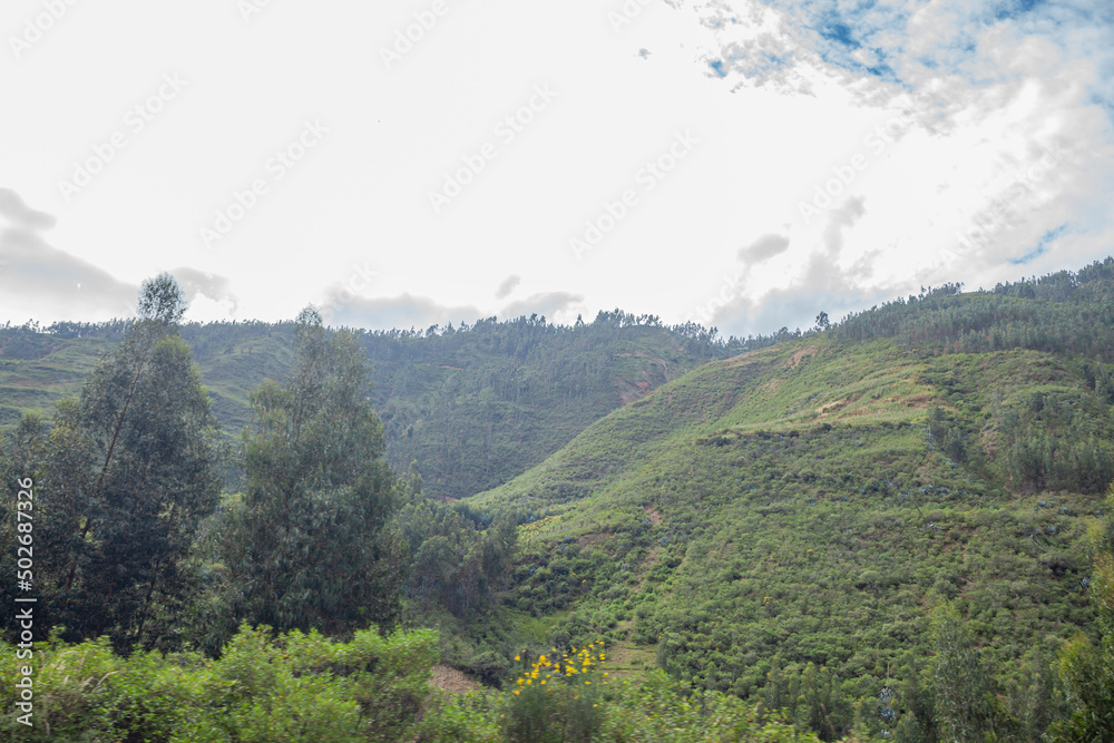 paisaje de la sierra peruana, vegetación, cerros, montañas cielo con ...